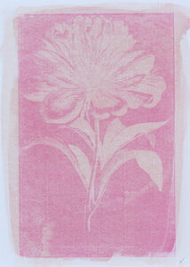 Handmade Photography, Anthotypes - Photographic Resource Center