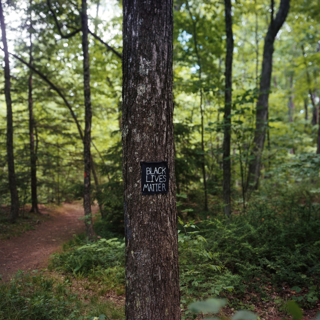 Field of Vision - Photographic Resource Center