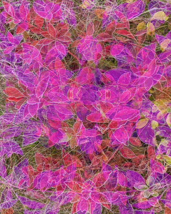 Michael Corthell - Photographic Resource Center