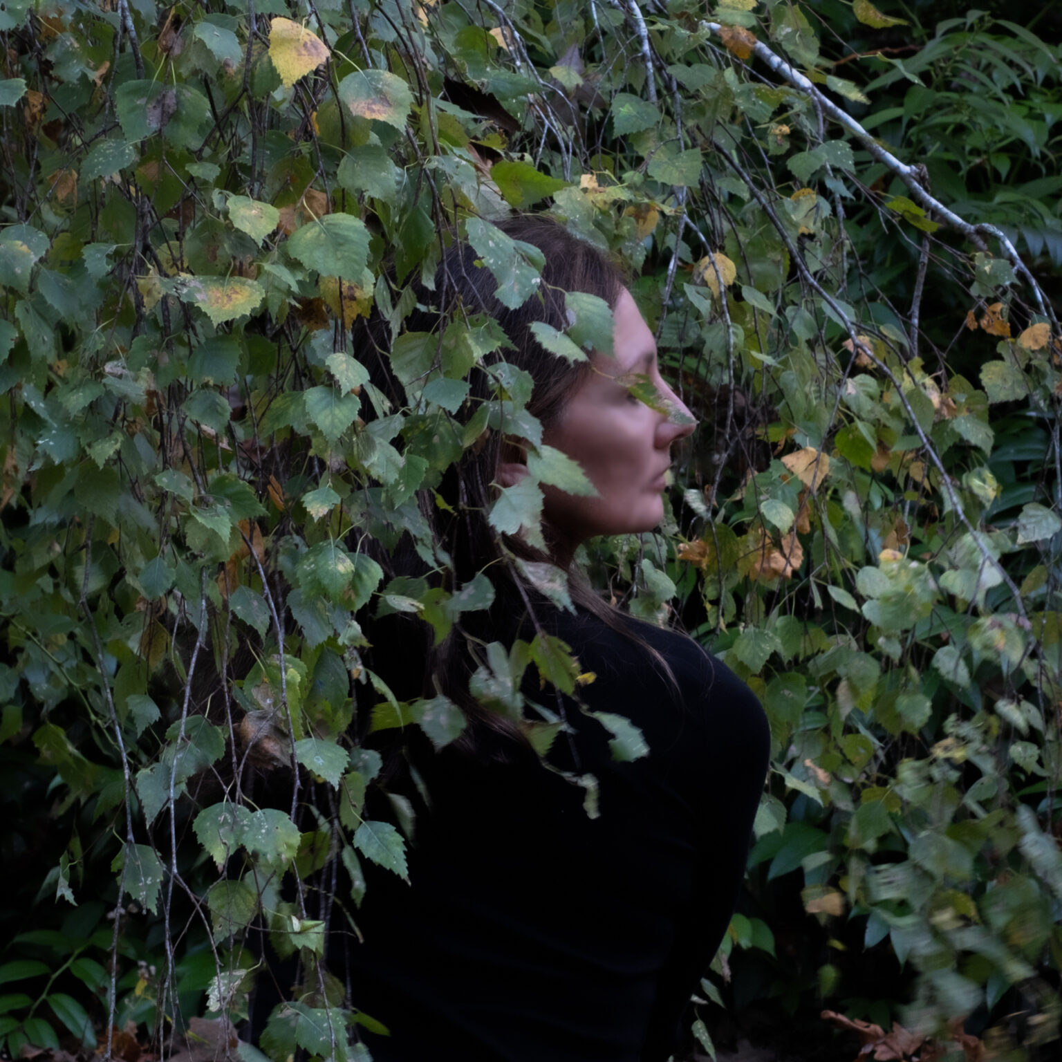 PRC Homepage - Photographic Resource Center